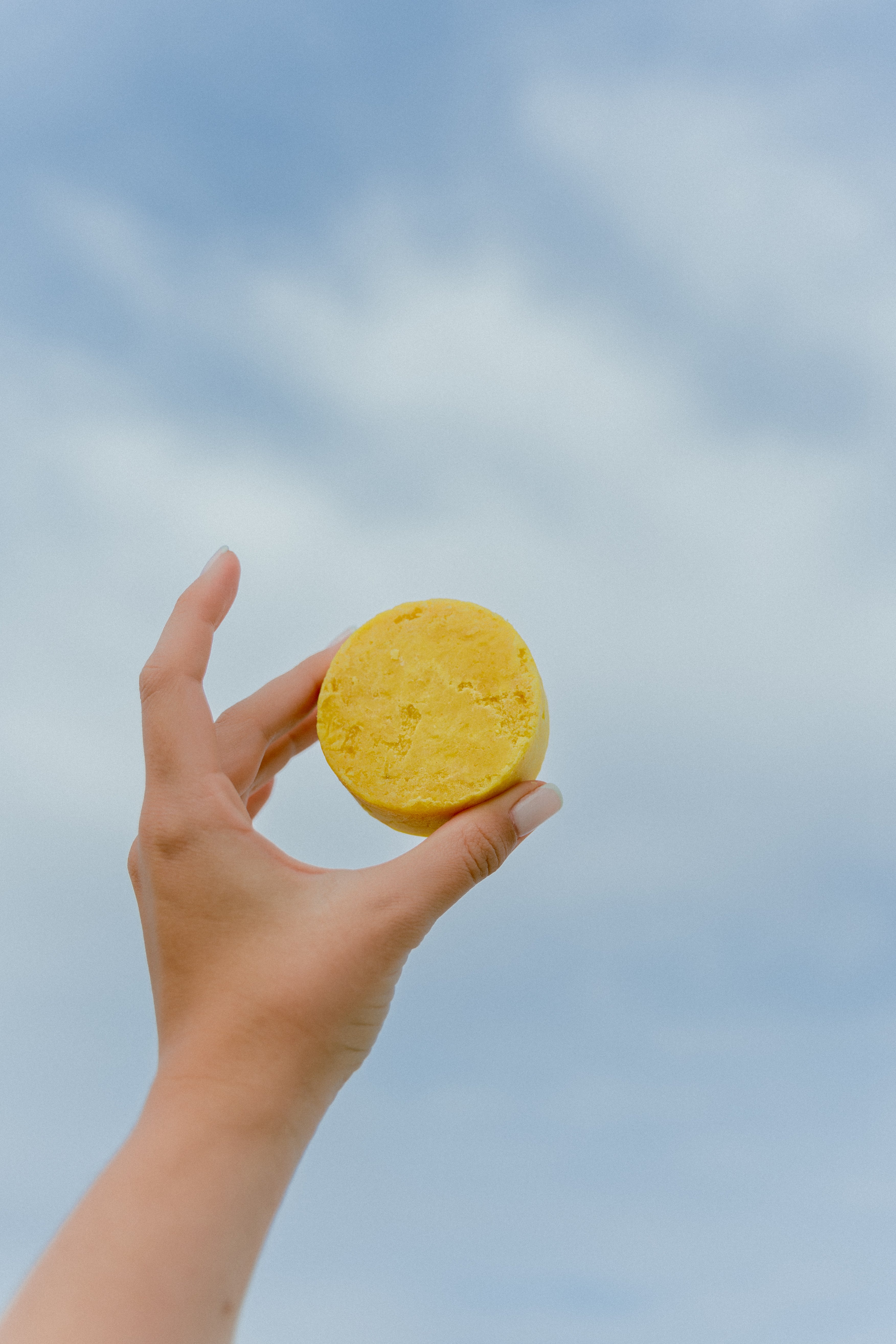 Champu solido natural ¿qué significa vegano y crueltyfree? – Mazahua ...